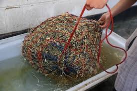 Cold vs Warm Water for Soaking Hay – Custom Equine Nutrition