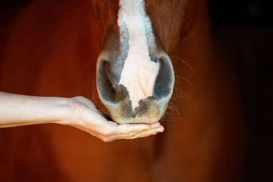 Vermont Blend PRO – Custom Equine Nutrition